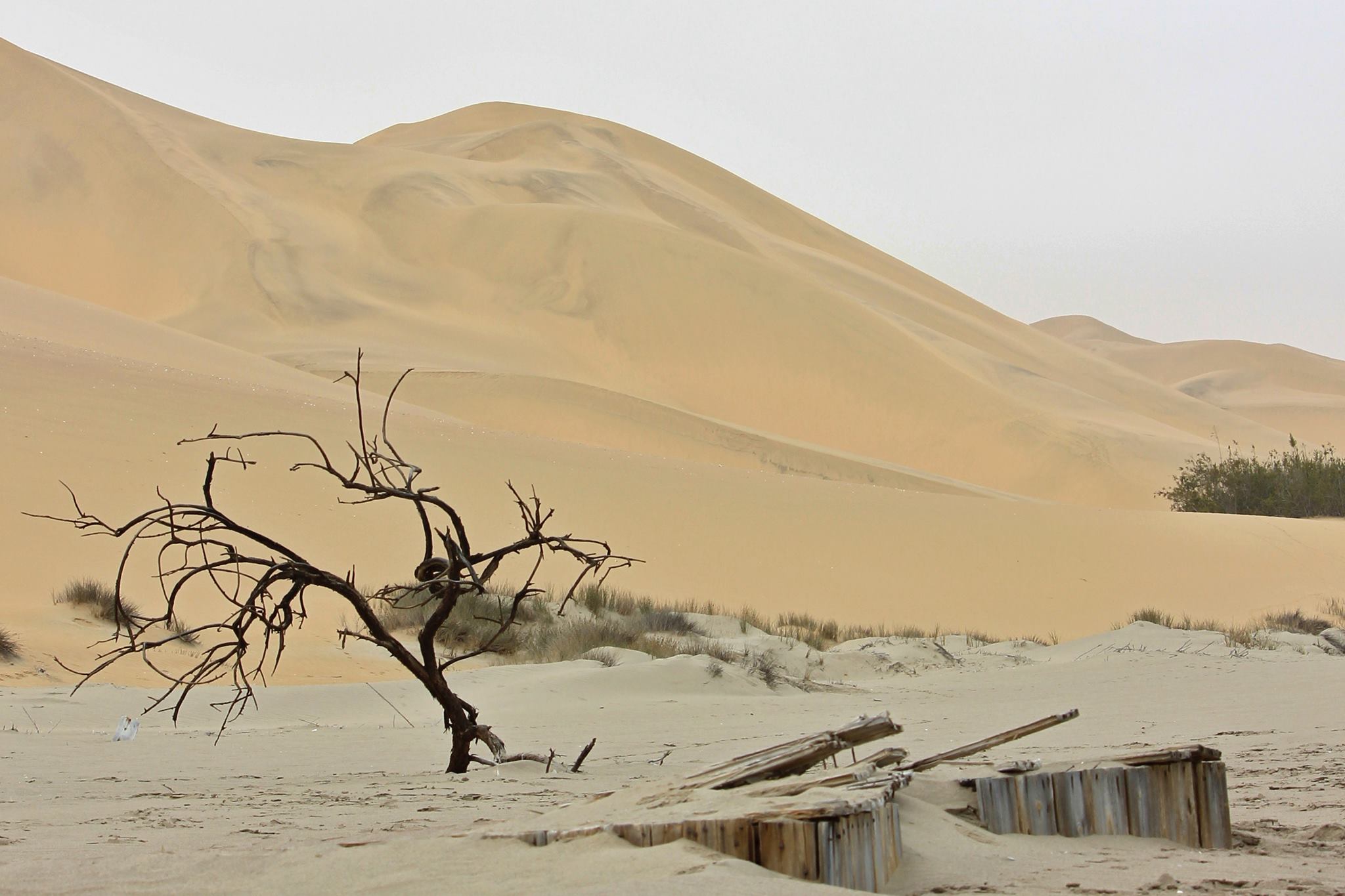 Other Tours – Living Desert Tours